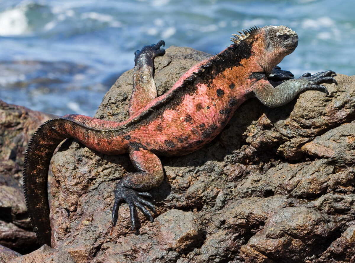 The Sloman Economics News Site – All your resources for Economics