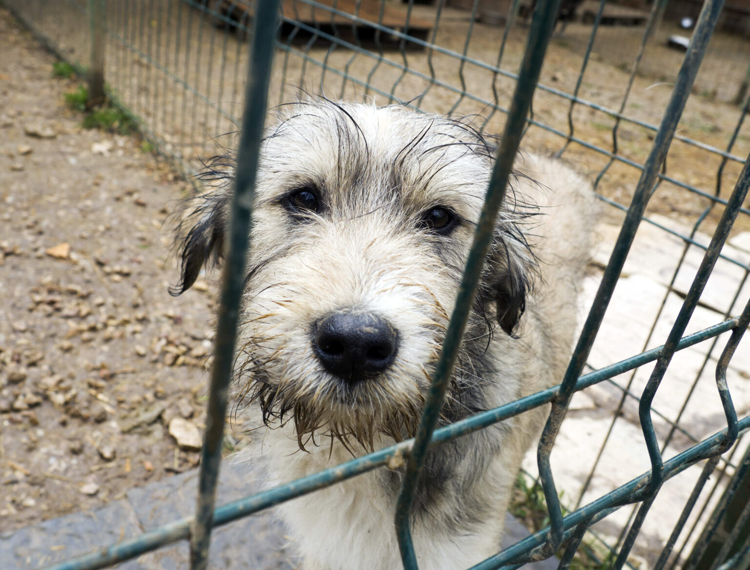 The Sloman Economics News Site – All your resources for Economics