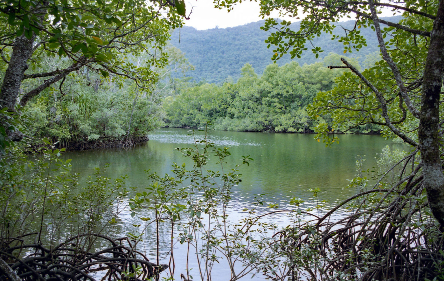 The Sloman Economics News Site – All your resources for Economics